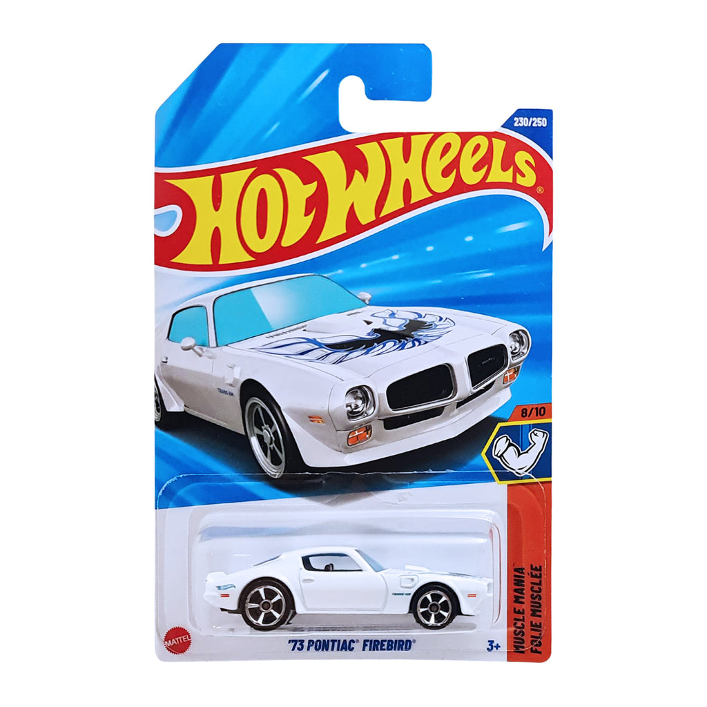 Hot Wheels 73 Pontiac Firebird Car – Rainbow Toys